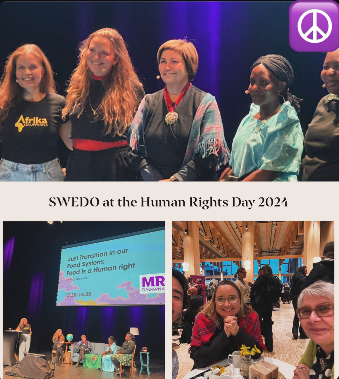 SWEDO at the Human rights days - SWEDO